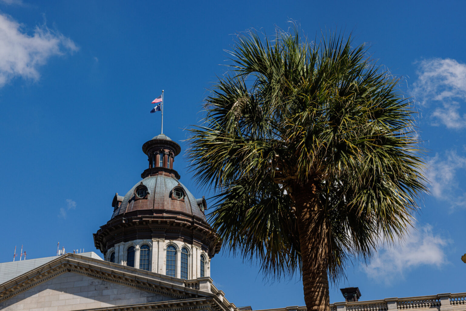 South Carolina Institute of Medicine & Public Health | IMPH